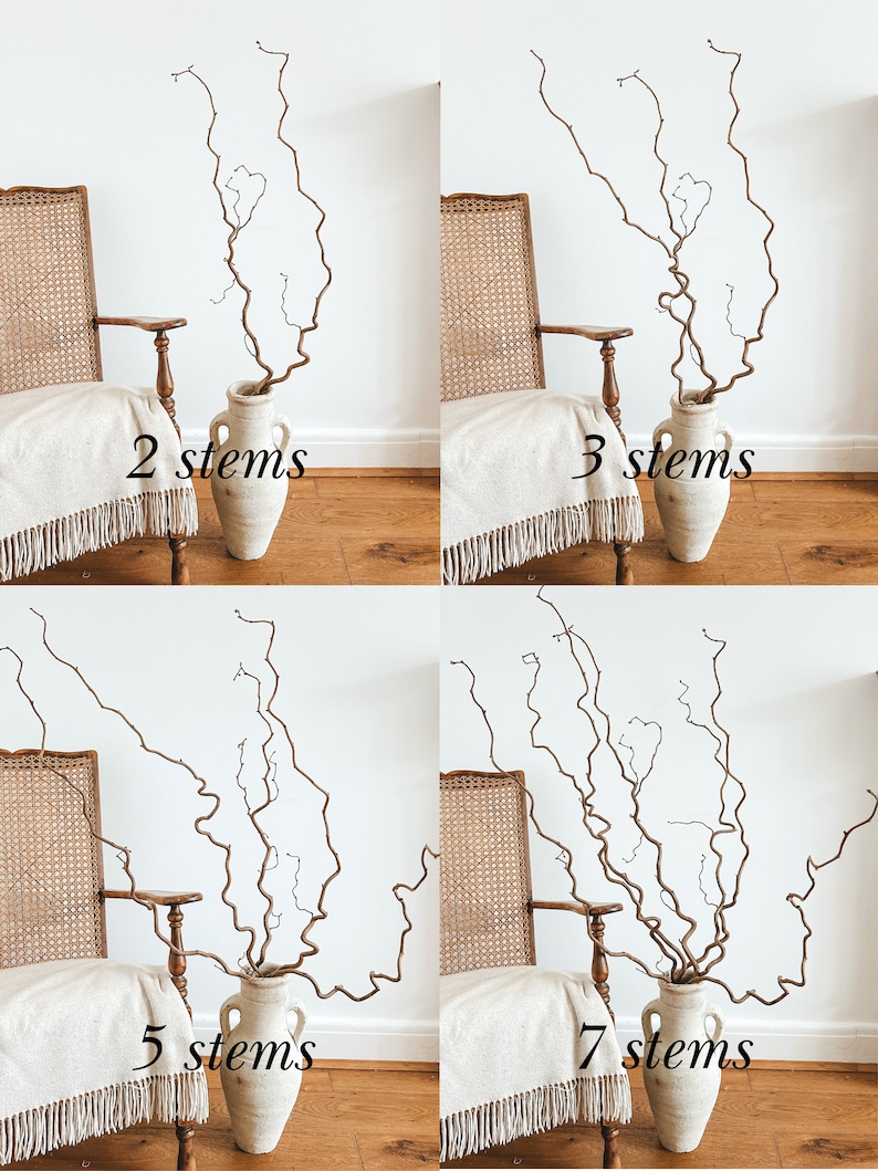 XL Twisted Hazel Branch Corylus Curly Twigs Wabi Sabi - Etsy UK