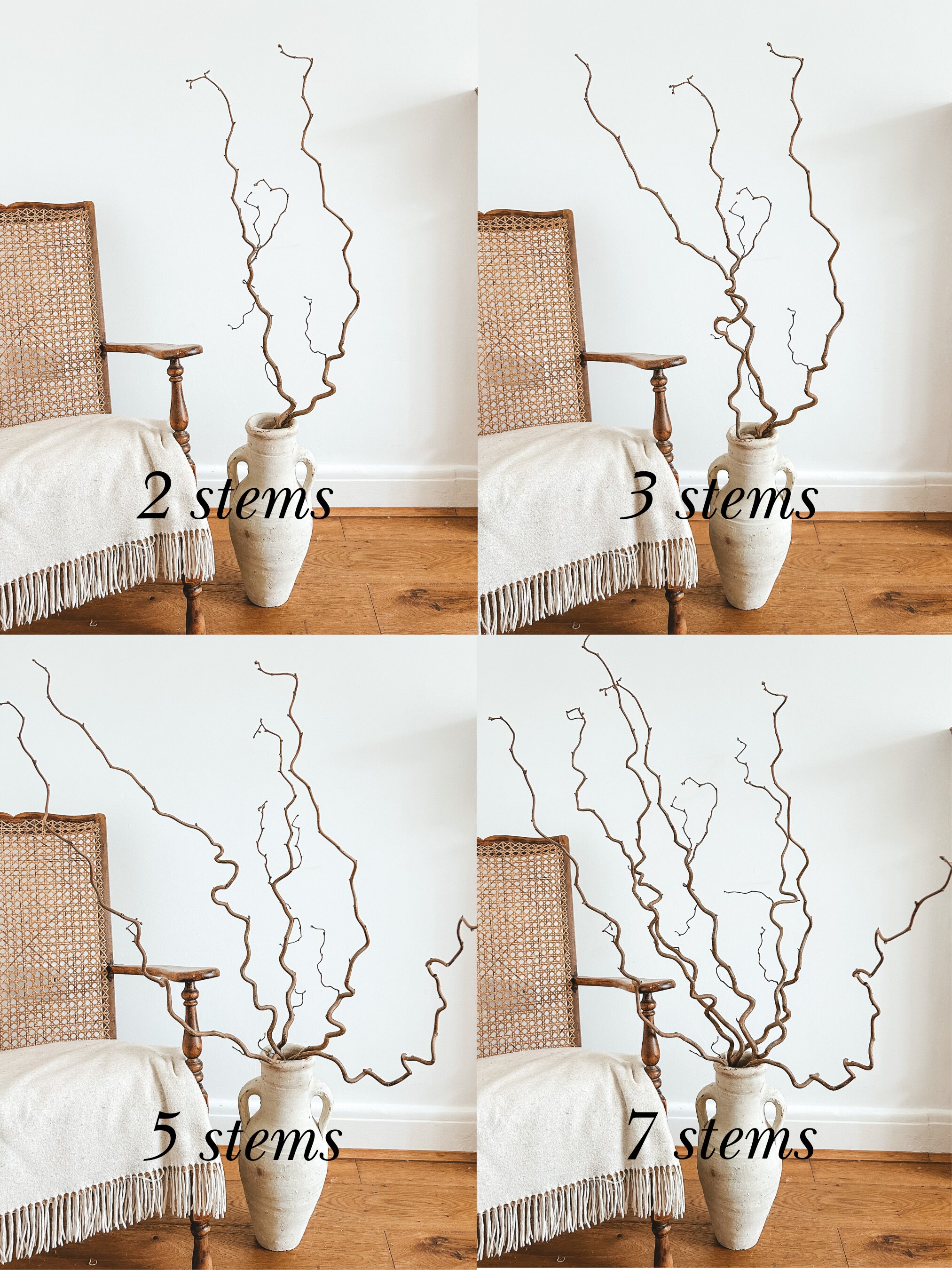 XL Twisted Hazel Branch Corylus Curly Twigs Wabi Sabi - Etsy UK