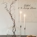 Contorted Twisted Hazel Corylus Branches, Real Decorative Branches ...