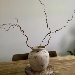 Long Twisted Hazel Branches, Corylus Twigs for Vase, Japandi Branches ...