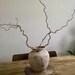 Long Twisted Hazel Branches, Corylus Twigs for Vase, Japandi Branches ...