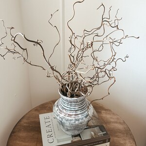 5|10 Top Table Twisted Hazel Corylus Branches, Contorted Hazel, Curly ...