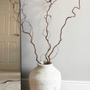 Real Decorative Dried Corylus Branches Wabi Sabi Twigs for Vase ...