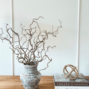 5|10 Top Table Twisted Hazel Corylus Branches, Contorted Hazel, Curly ...