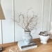 5|10 Top Table Twisted Hazel Corylus Branches, Contorted Hazel, Curly ...