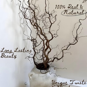 Contorted Twisted Hazel Corylus Branches, Real Decorative Branches ...