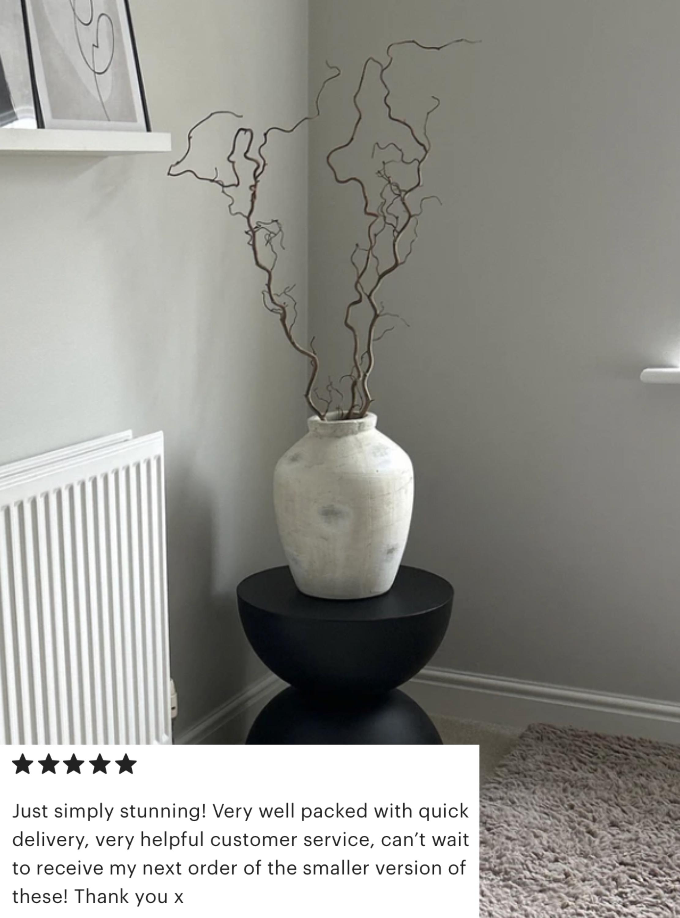 Contorted Twisted Hazel Corylus Branches, Real Decorative Branches ...