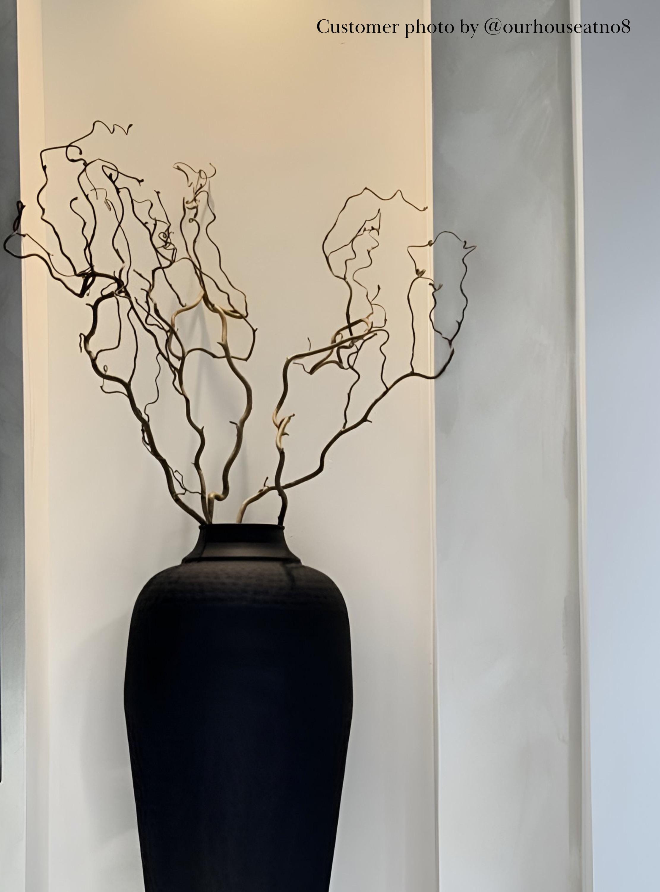 Contorted Twisted Hazel Corylus Branches, Real Decorative Branches ...