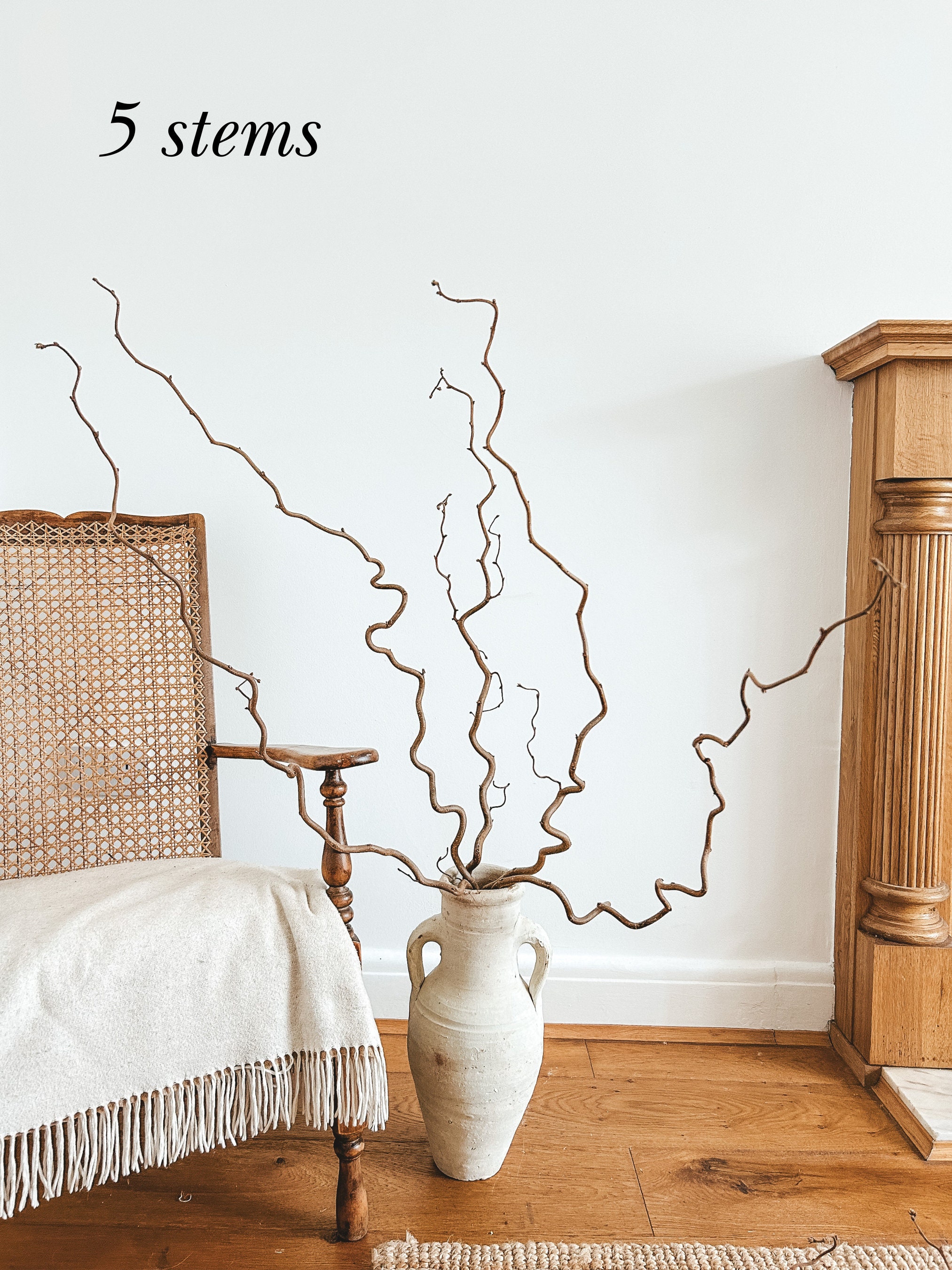 XL Twisted Hazel Branch Corylus Curly Twigs Wabi Sabi - Etsy UK