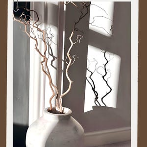 Long Twisted Hazel Branches, Corylus Twigs for Vase, Japandi Branches ...