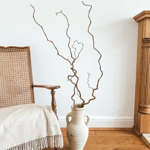 Long Twisted Hazel Branches, Corylus Twigs for Vase, Japandi Branches ...