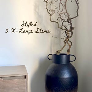 Contorted Twisted Hazel Corylus Branches, Real Decorative Branches ...