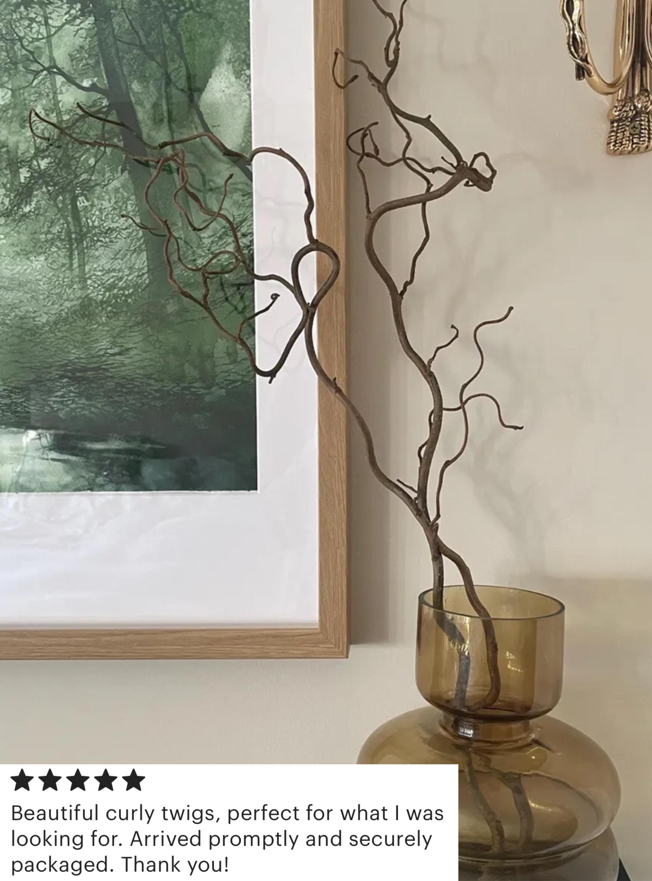 Contorted Twisted Hazel Corylus Branches, Real Decorative Branches ...
