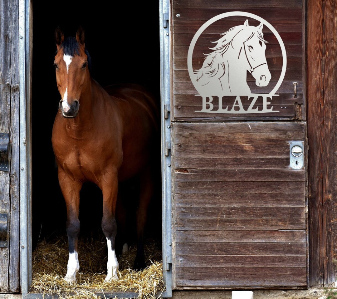 Personalized Horse Stall Name Sign, Name Plaque Custom Horse Metal Sign ...