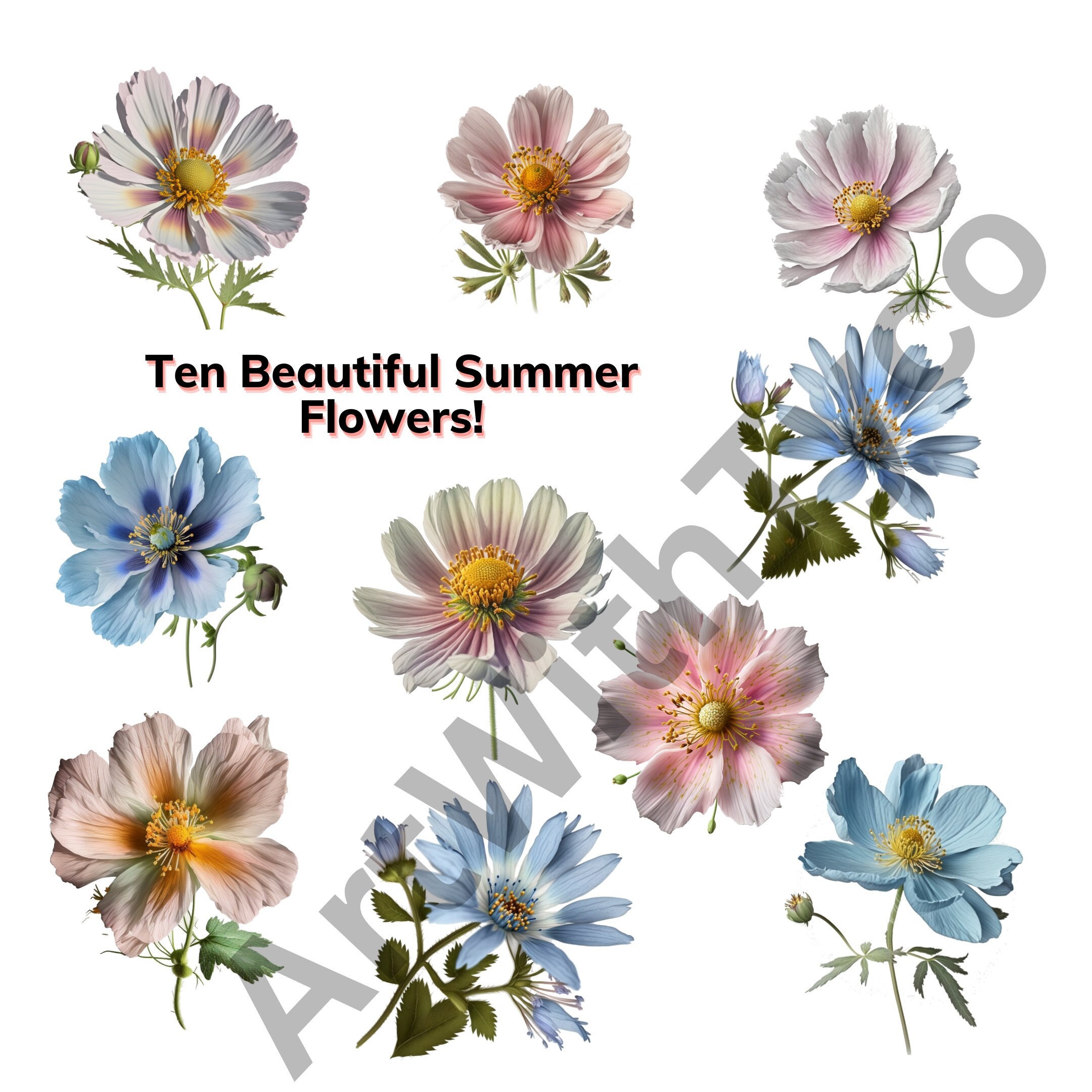 Summer Flower Watercolor Clip Art, PNG, Transparent, Commercial Use ...