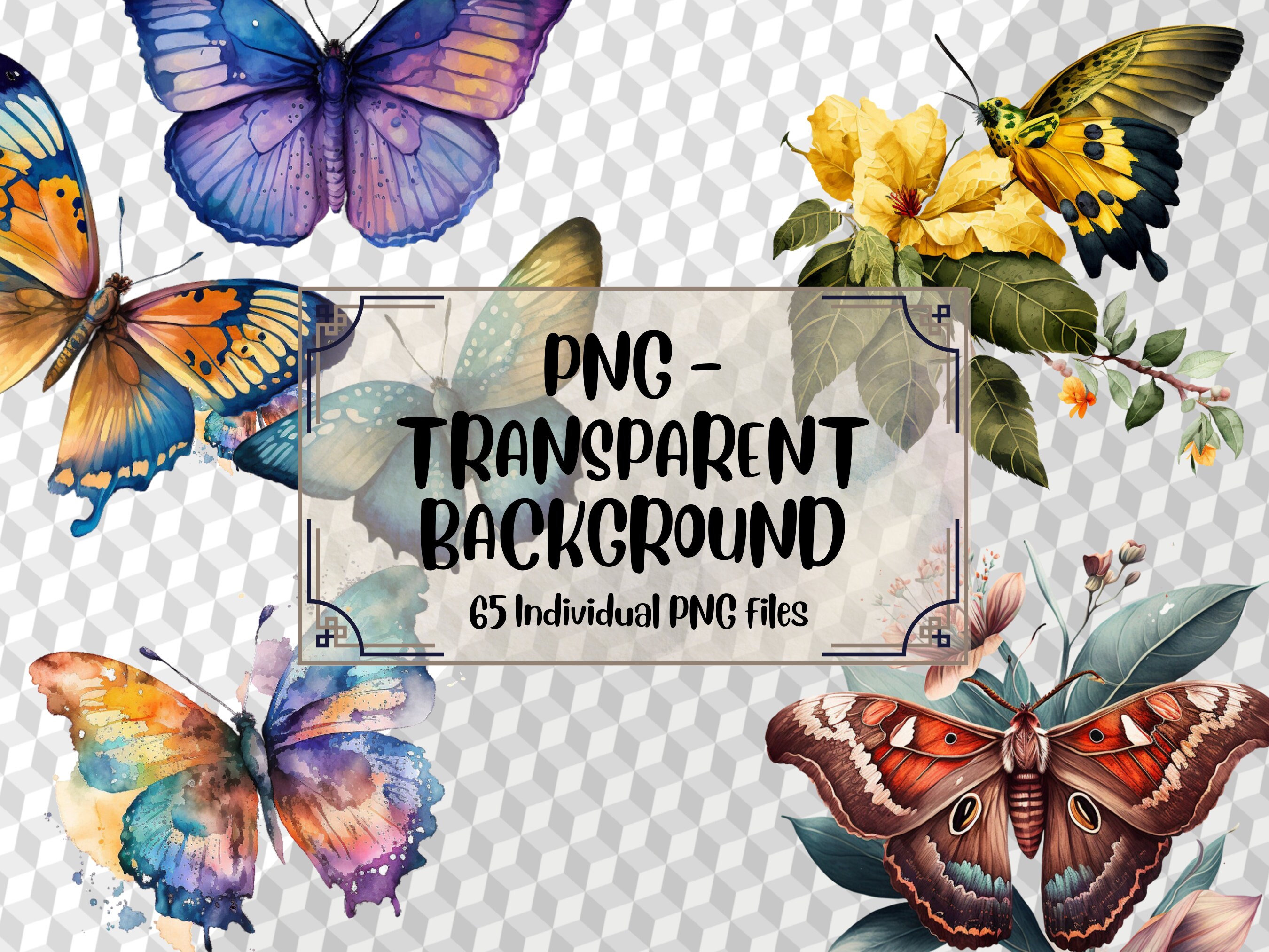Colorful Watercolor Butterfly Clipart for Commercial Use PNG Graphics ...