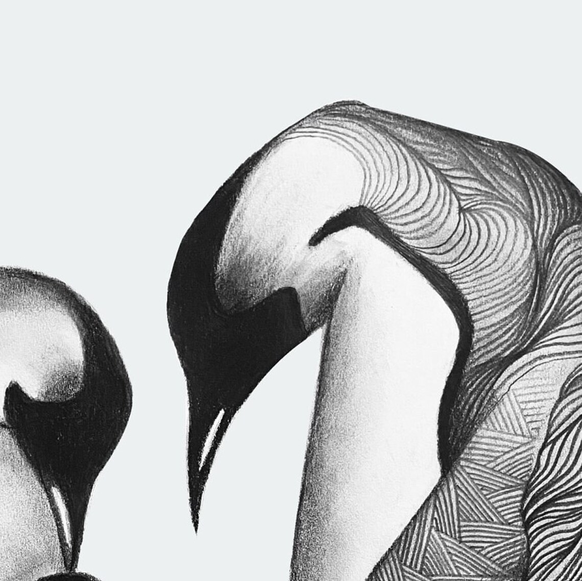 Hand Drawn Penguin and Chicks, Hand Drawn Penguin Family, Penguin ...