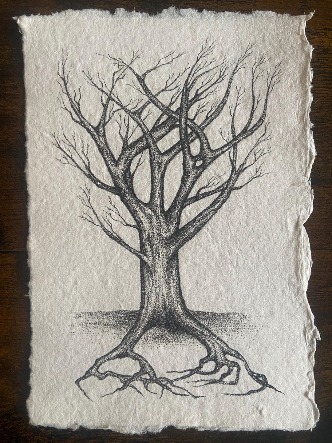 Original Pen and Ink Pointillism (stippling) Drawing - Drawn by Me on ...