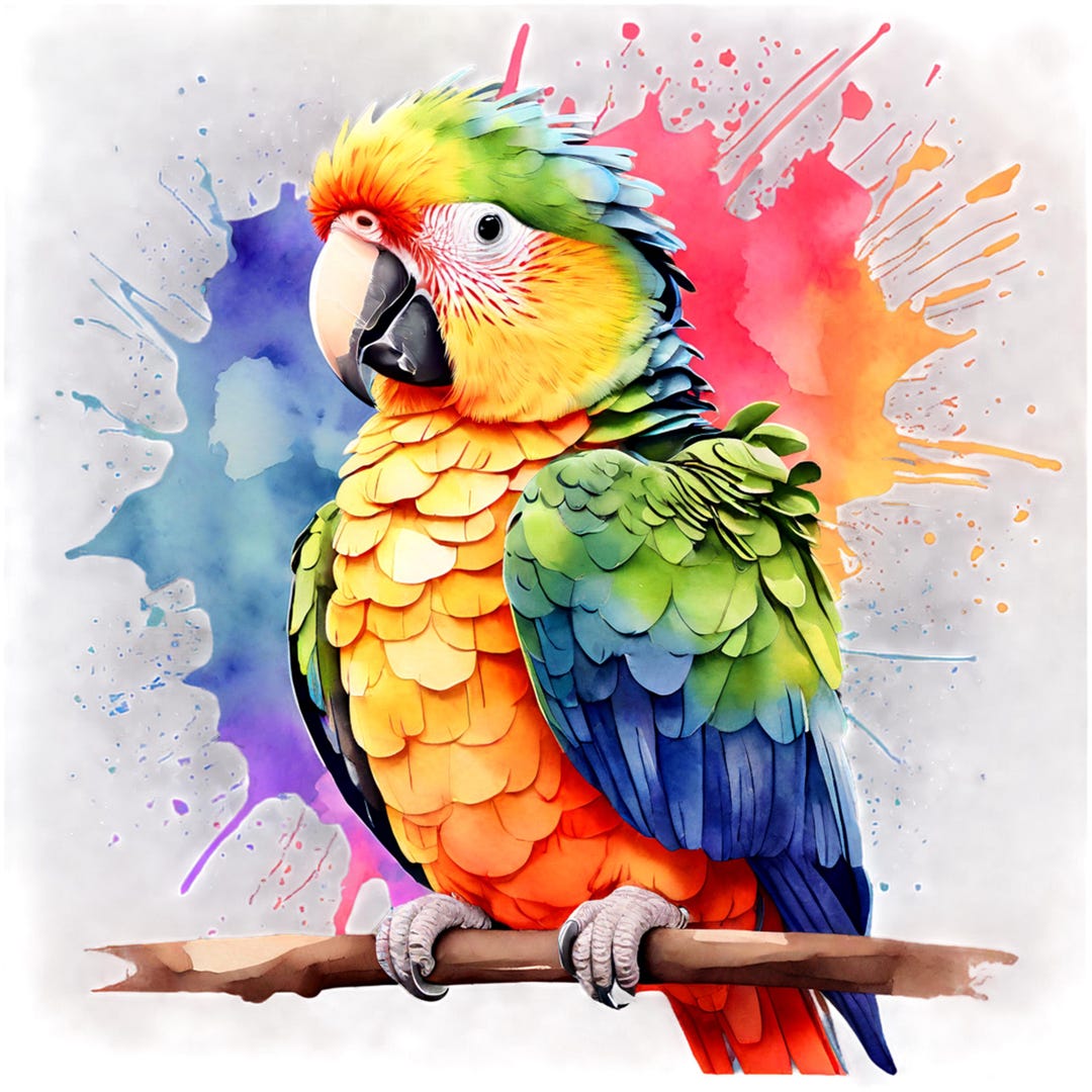 15 PNG Watercolour Parrot With Splash Paint, Animal Clipart, Clipart ...