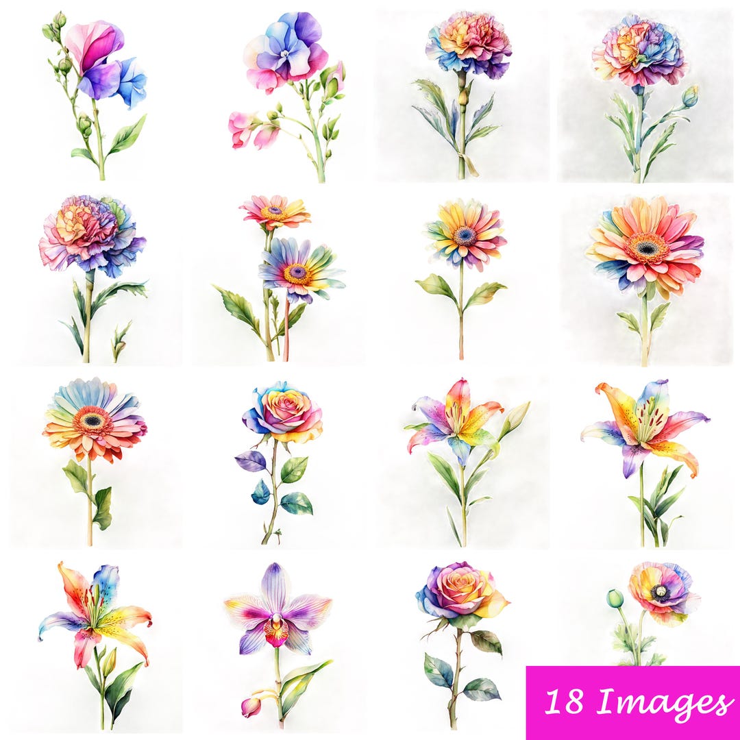 18 PNG Watercolour Beautiful Rainbow Coloured Flowers Clipart, Clipart ...