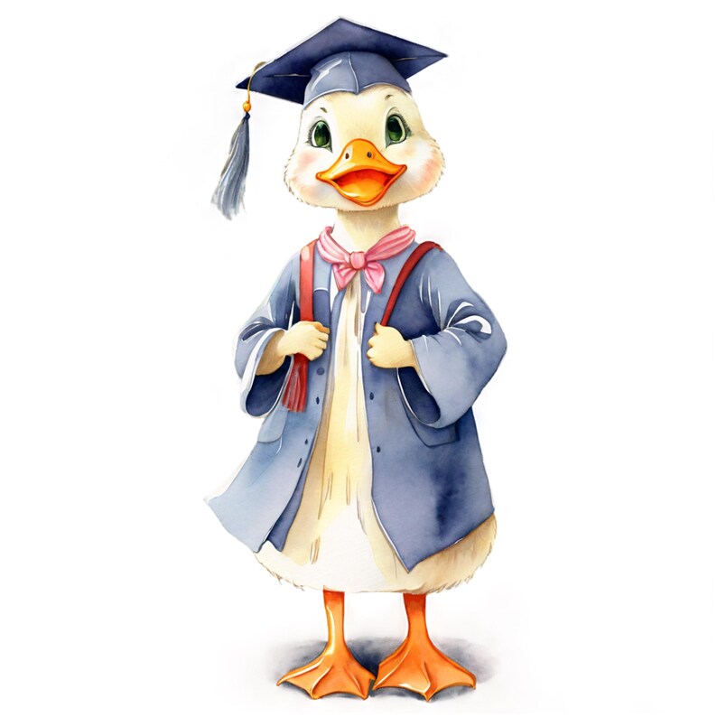 19 PNG Watercolour Duck Graduation Celebration, Animal Clipart, Clipart ...