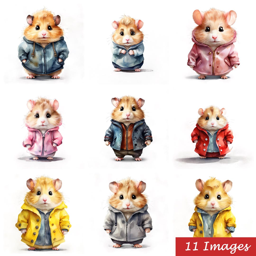 11 PNG Watercolour Cute Moody Sad Hamster Clipart, Animal Clipart ...