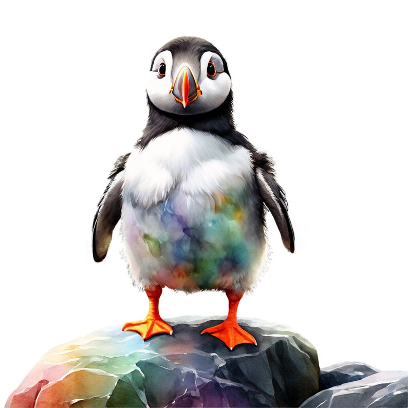 12 PNG Watercolour Colourful Puffin Standing on Rock, Bird Clipart ...