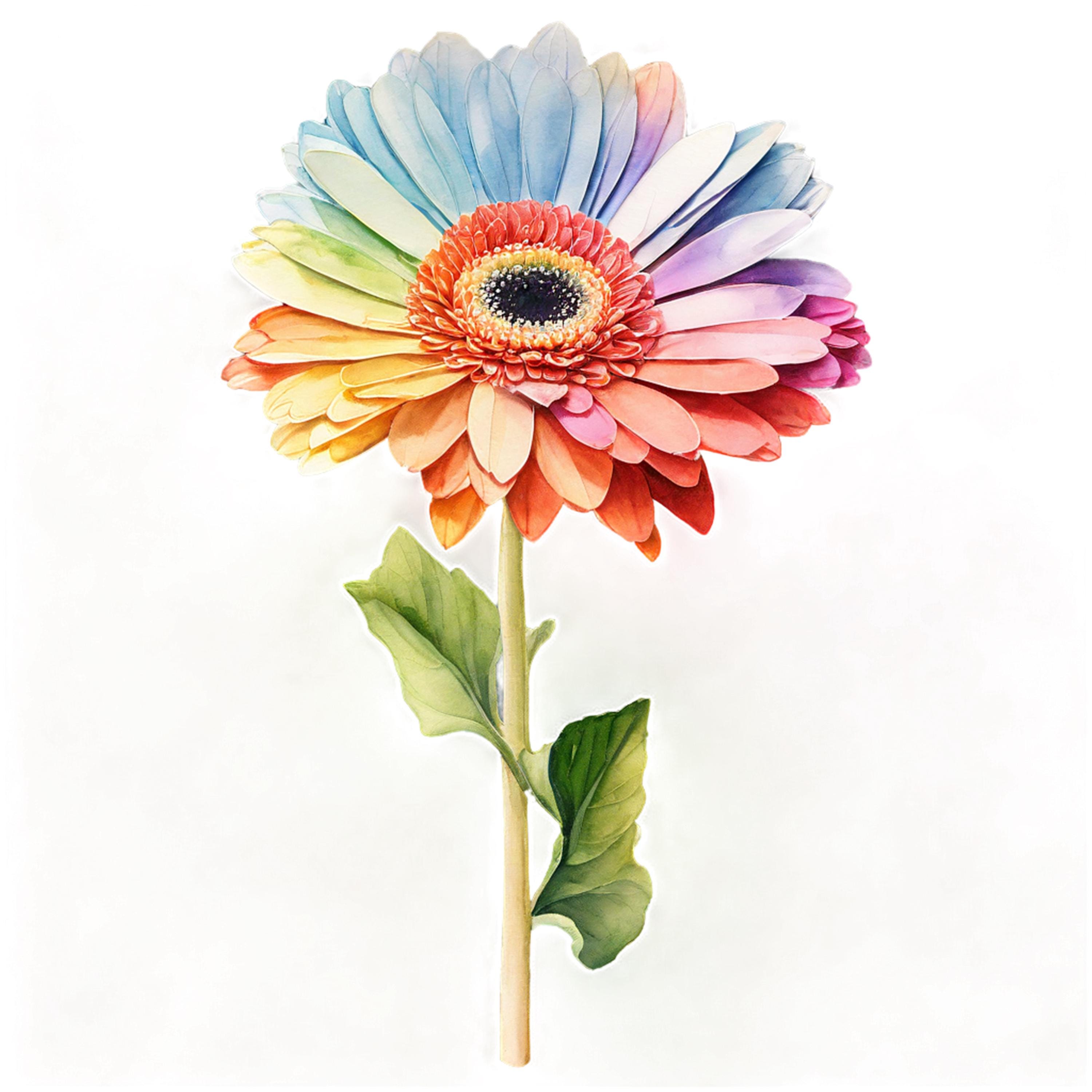 18 PNG Watercolour Beautiful Rainbow Coloured Flowers Clipart, Clipart ...