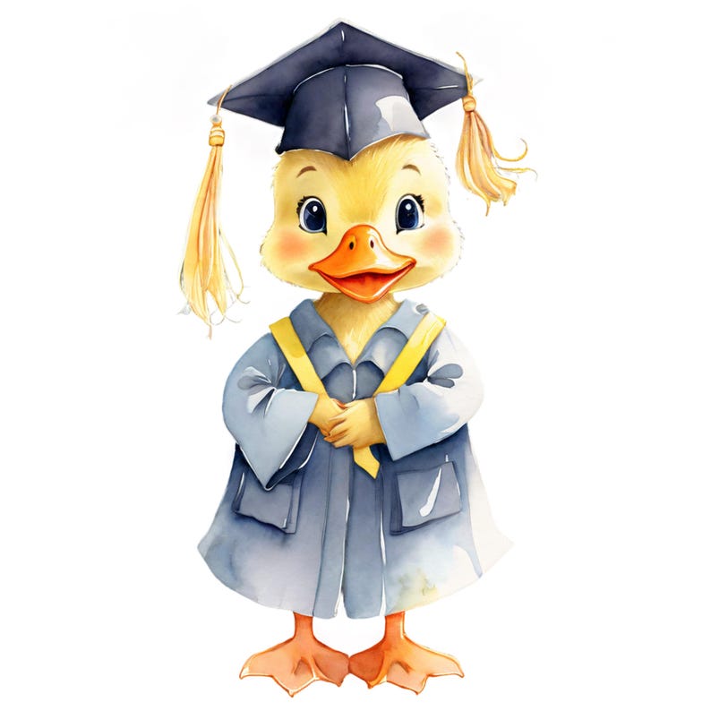 19 PNG Watercolour Duck Graduation Celebration, Animal Clipart, Clipart ...