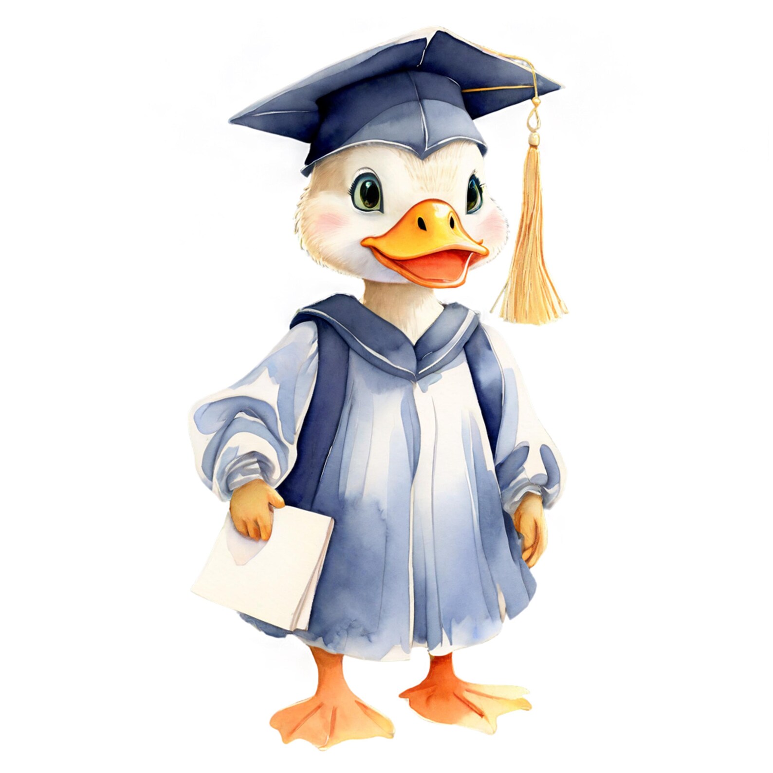 19 PNG Watercolour Duck Graduation Celebration, Animal Clipart, Clipart ...