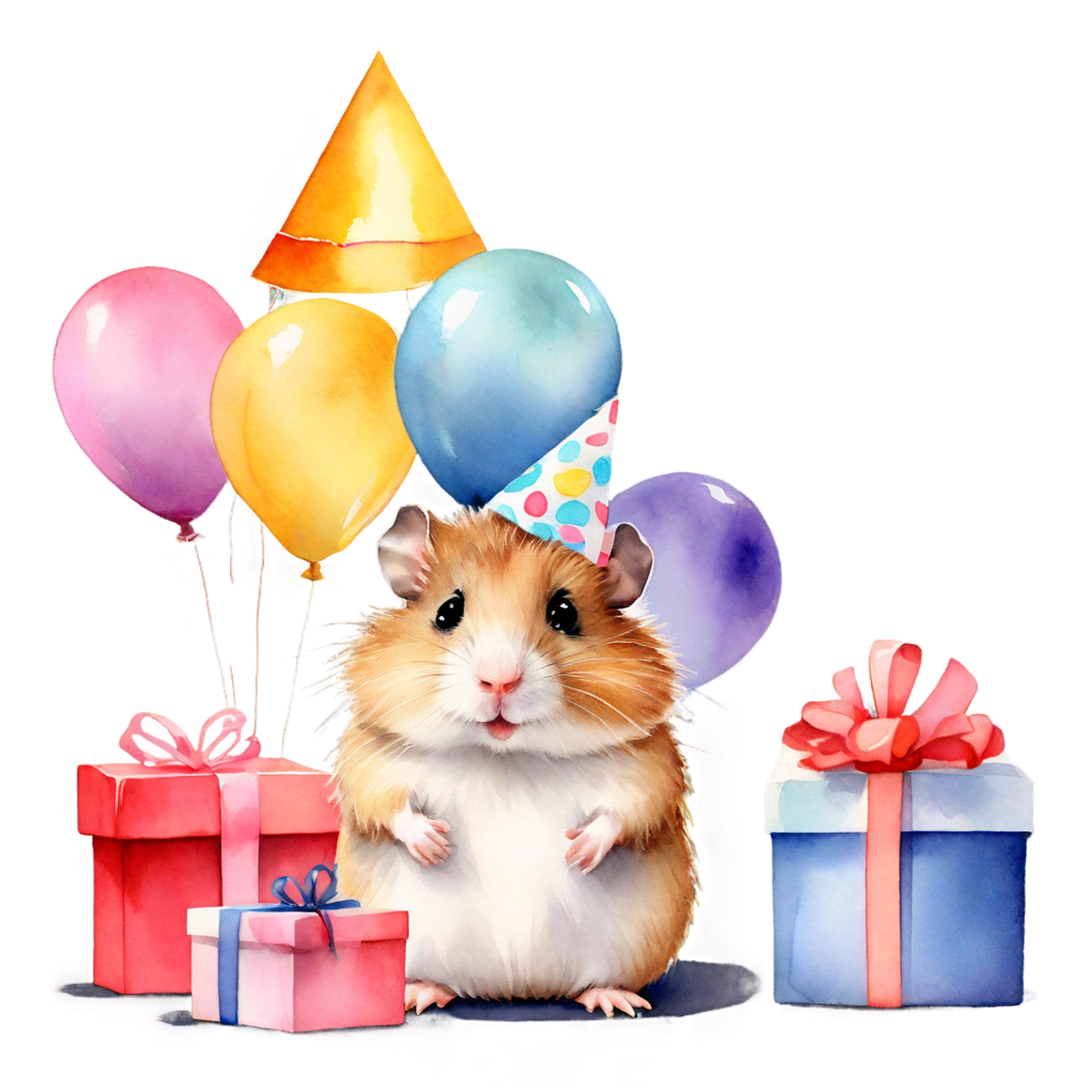 16 PNG Watercolour Hamster Birthday Celebration Balloon, Animal Clipart ...