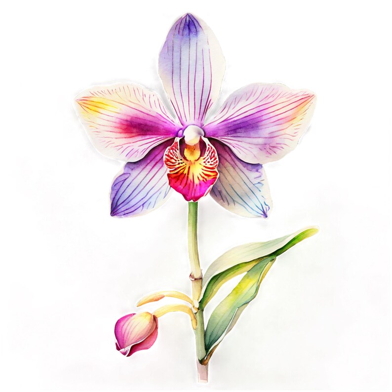 18 PNG Watercolour Beautiful Rainbow Coloured Flowers Clipart, Clipart ...