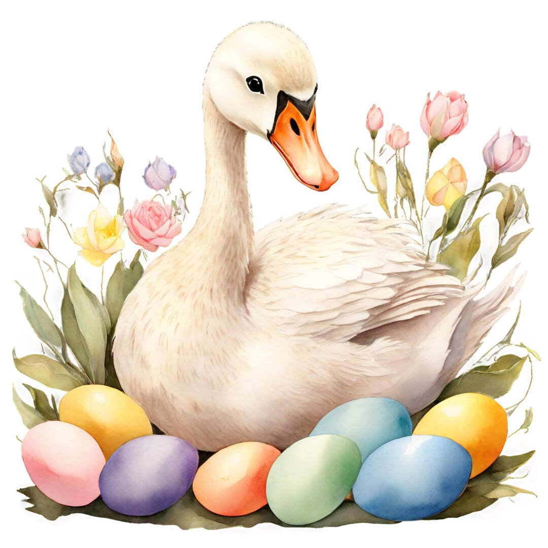 22 PNG Watercolour Swan Easter, Animal Clipart, Clipart Bundle, Instant ...