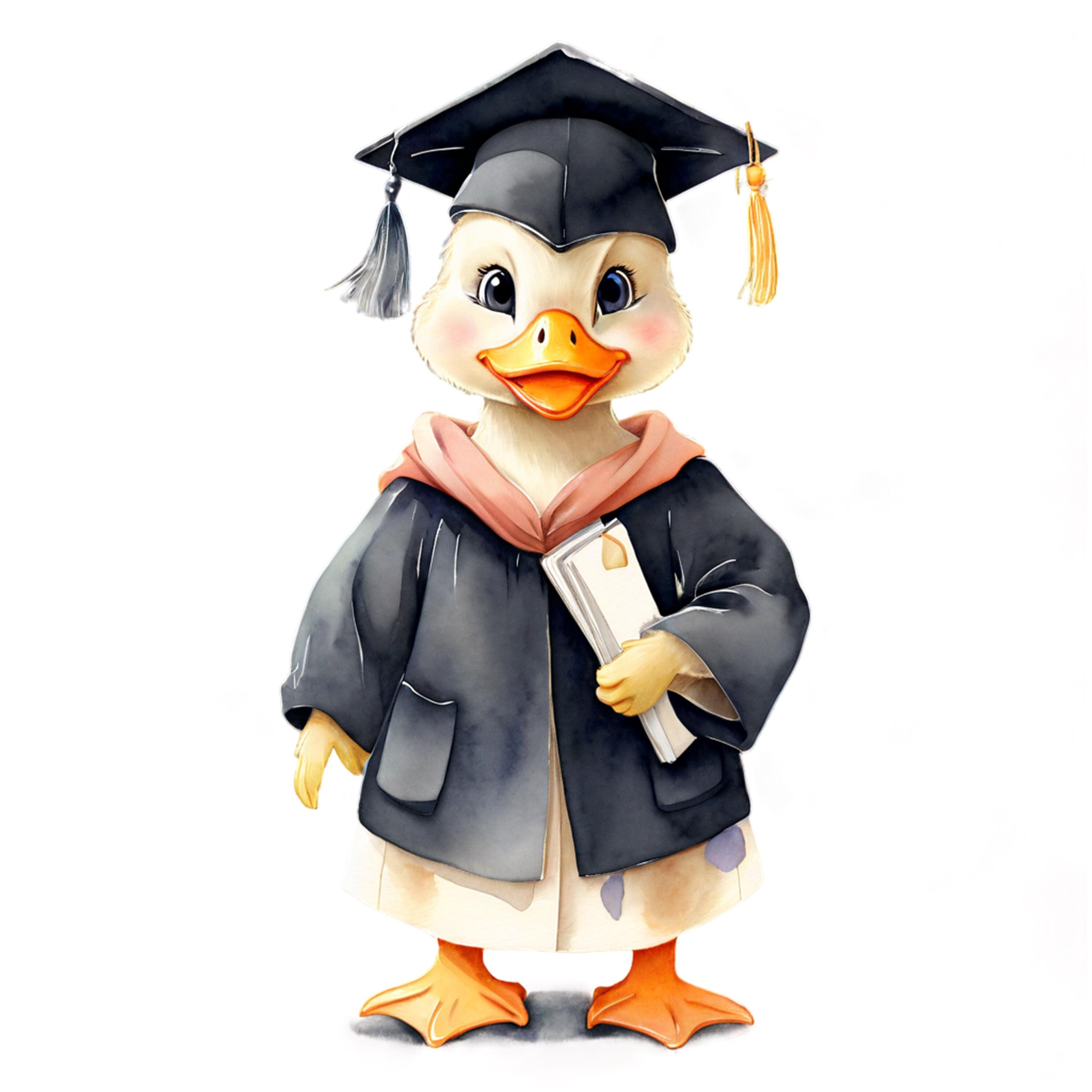 19 PNG Watercolour Duck Graduation Celebration, Animal Clipart, Clipart ...