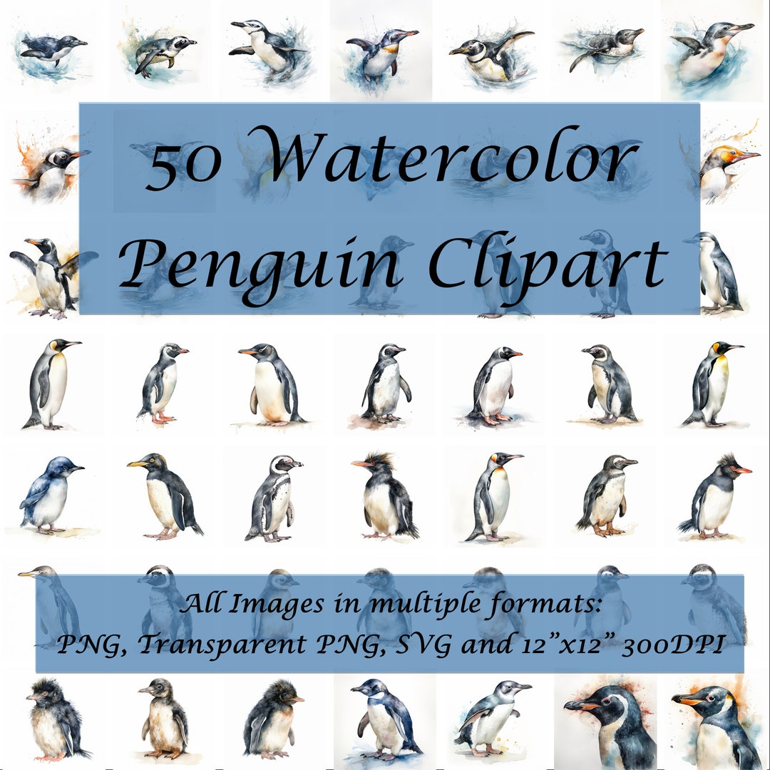 Captivating Penguin Watercolor Clipart Bundle - 50 Digital Downloads ...