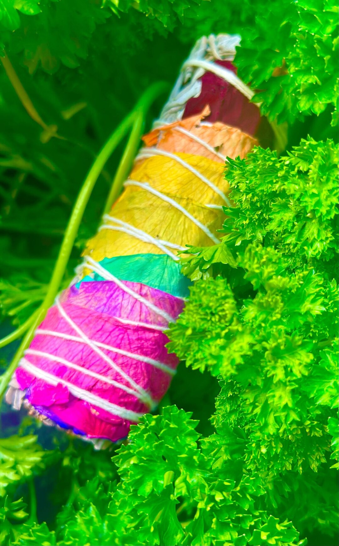 7 Chakra Sage / Smudging / Smoke / Raise Vibrations / Smudge - Etsy