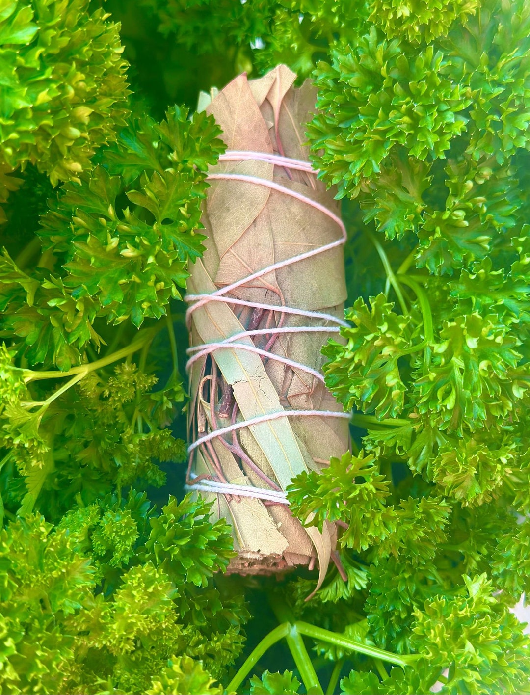 Bay Leave Sage / Smudging / Smoke / Smudge Stick / Manifest - Etsy