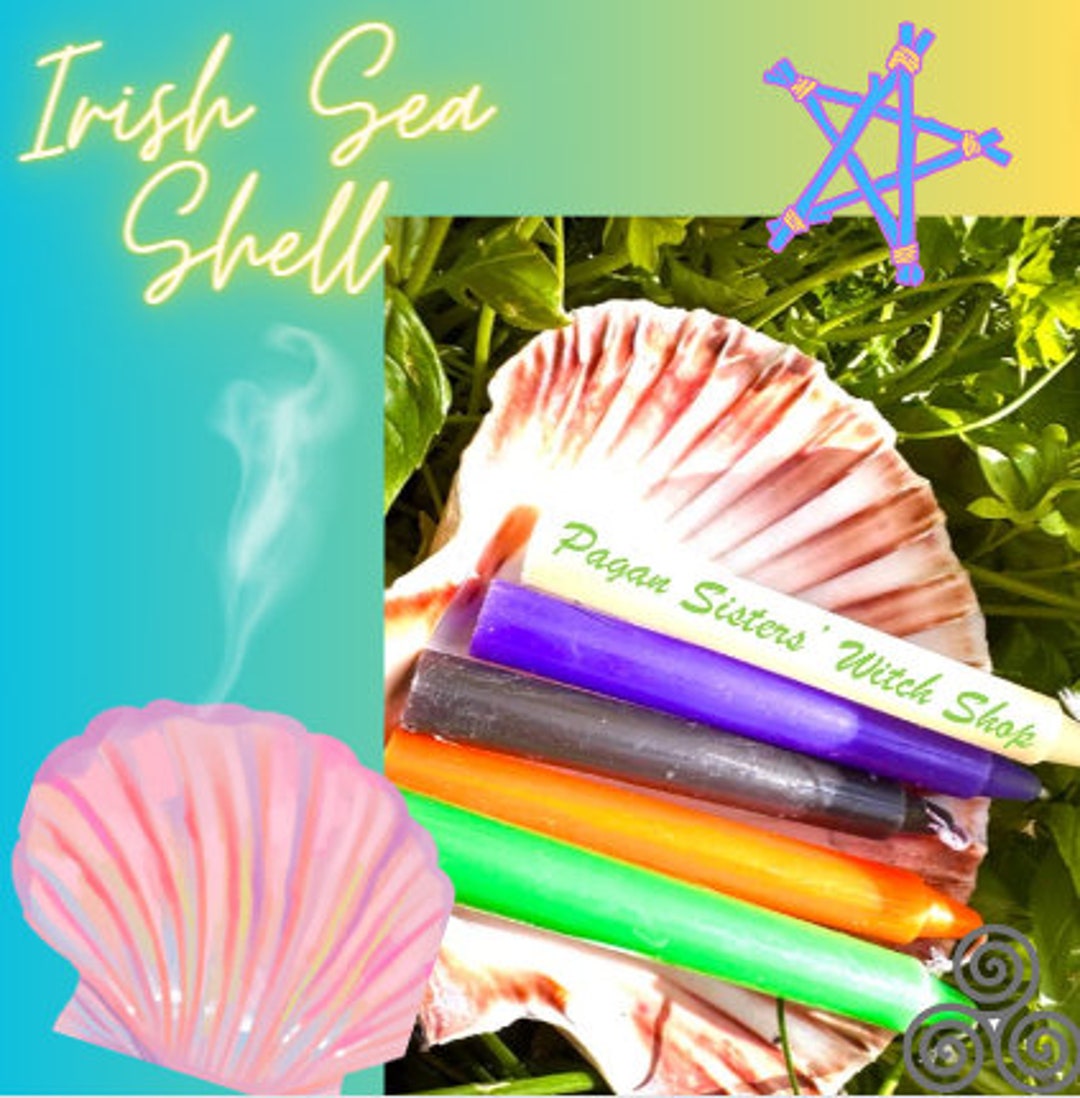 Sea Shell / Scallop Shell / Smudging / Candle / Soap Dishes / Jewellery ...