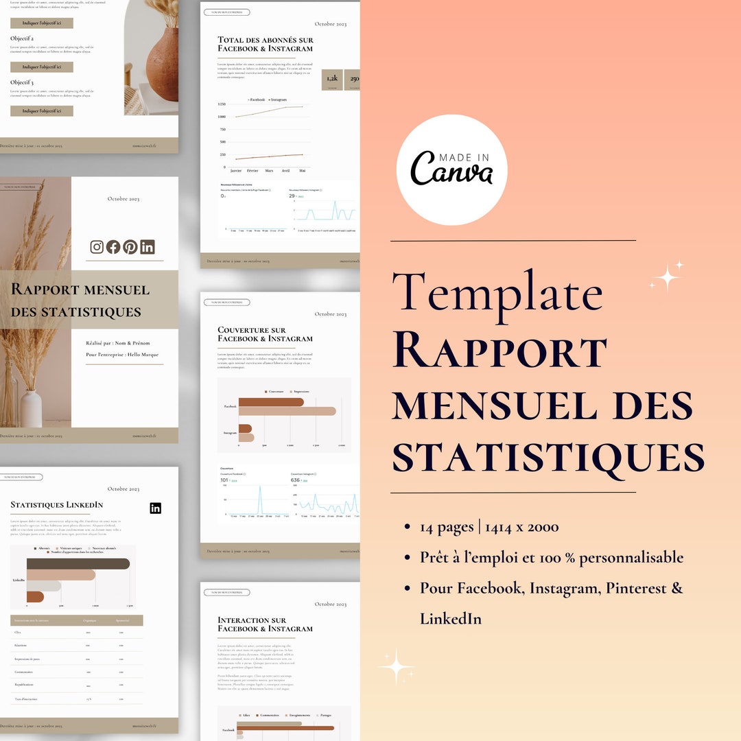 Modèle Rapport Mensuel Réseaux Sociaux | Rapport Des Statistiques ...