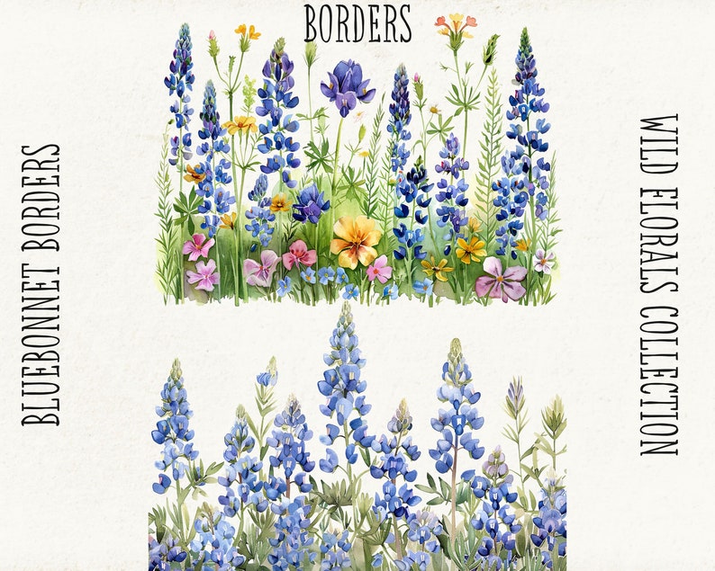 Bluebonnet Watercolor Clipart, Wild Floral Borders & Bouquets ...