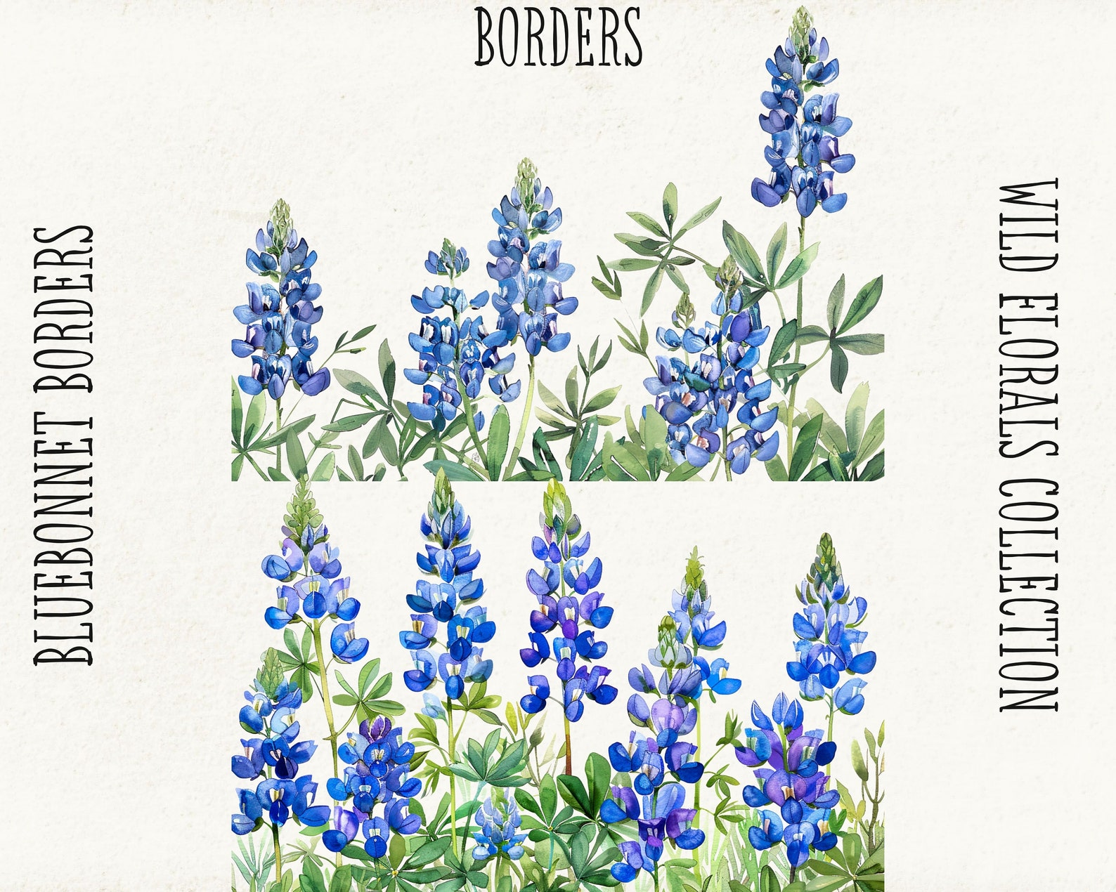 Bluebonnet Watercolor Clipart, Wild Floral Borders & Bouquets ...