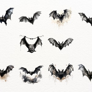 Bats Watercolor Clipart, Spiders Web Watercolor Clipart, Halloween ...