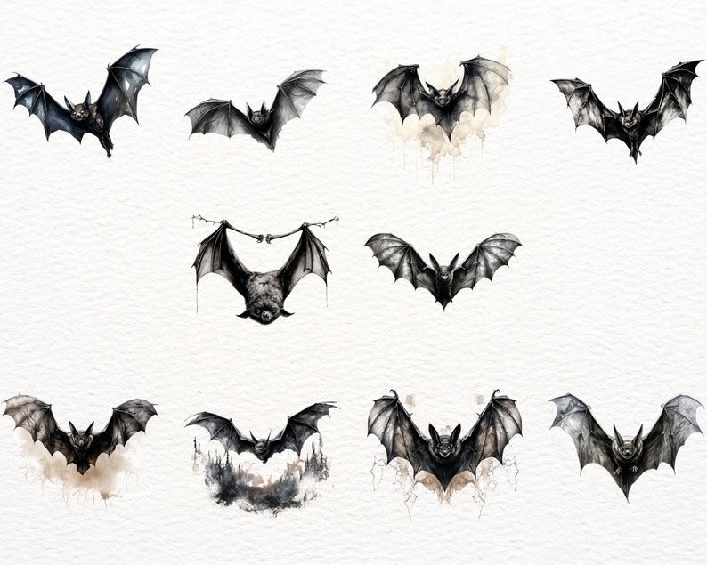 Bats Watercolor Clipart Spiders Web Watercolor Clipart - Etsy