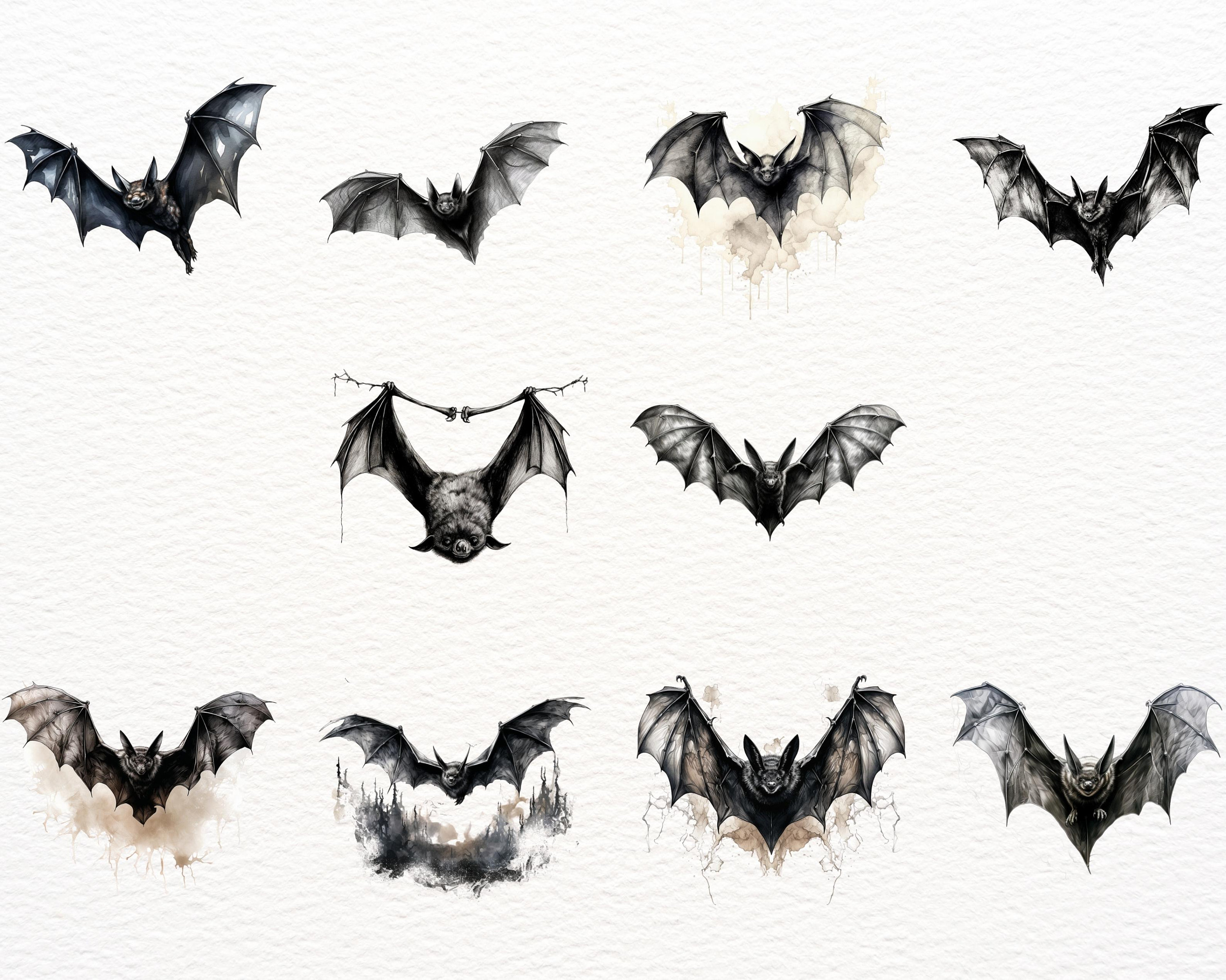 Bats Watercolor Clipart Spiders Web Watercolor Clipart - Etsy
