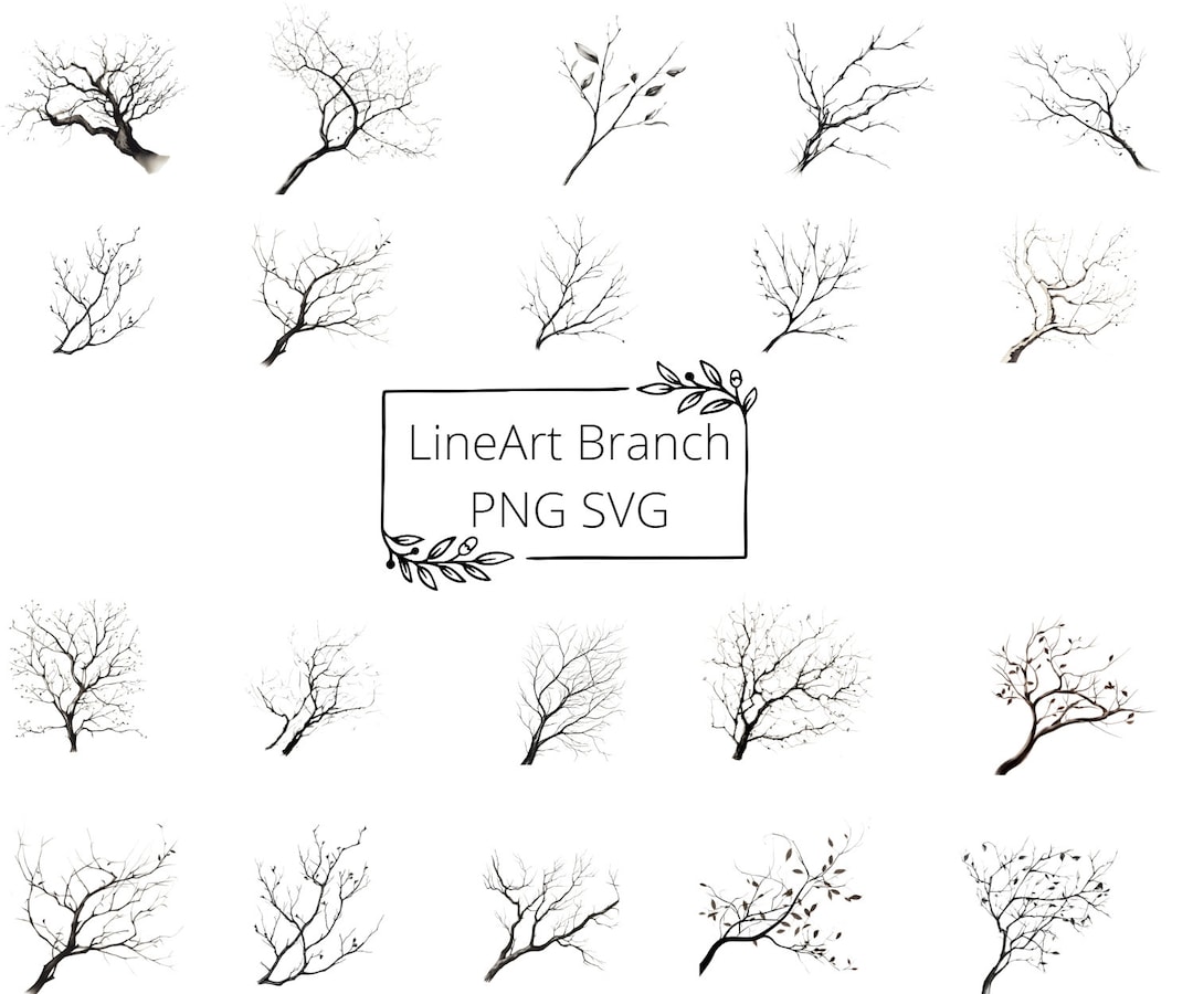 20 Branches Svg Bundle, Floral SVG, Branches SVG, Botanical Clipart ...