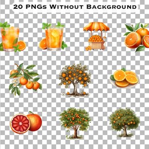 Watercolor Orange Clipart, Colorful Fruits Clipart, Fruit Graphic ...