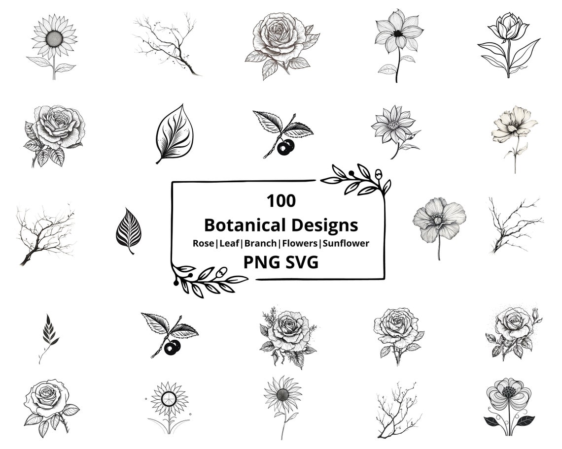 Botanical Svg Bundle Floral Svg Flower Svg Botanical - Etsy