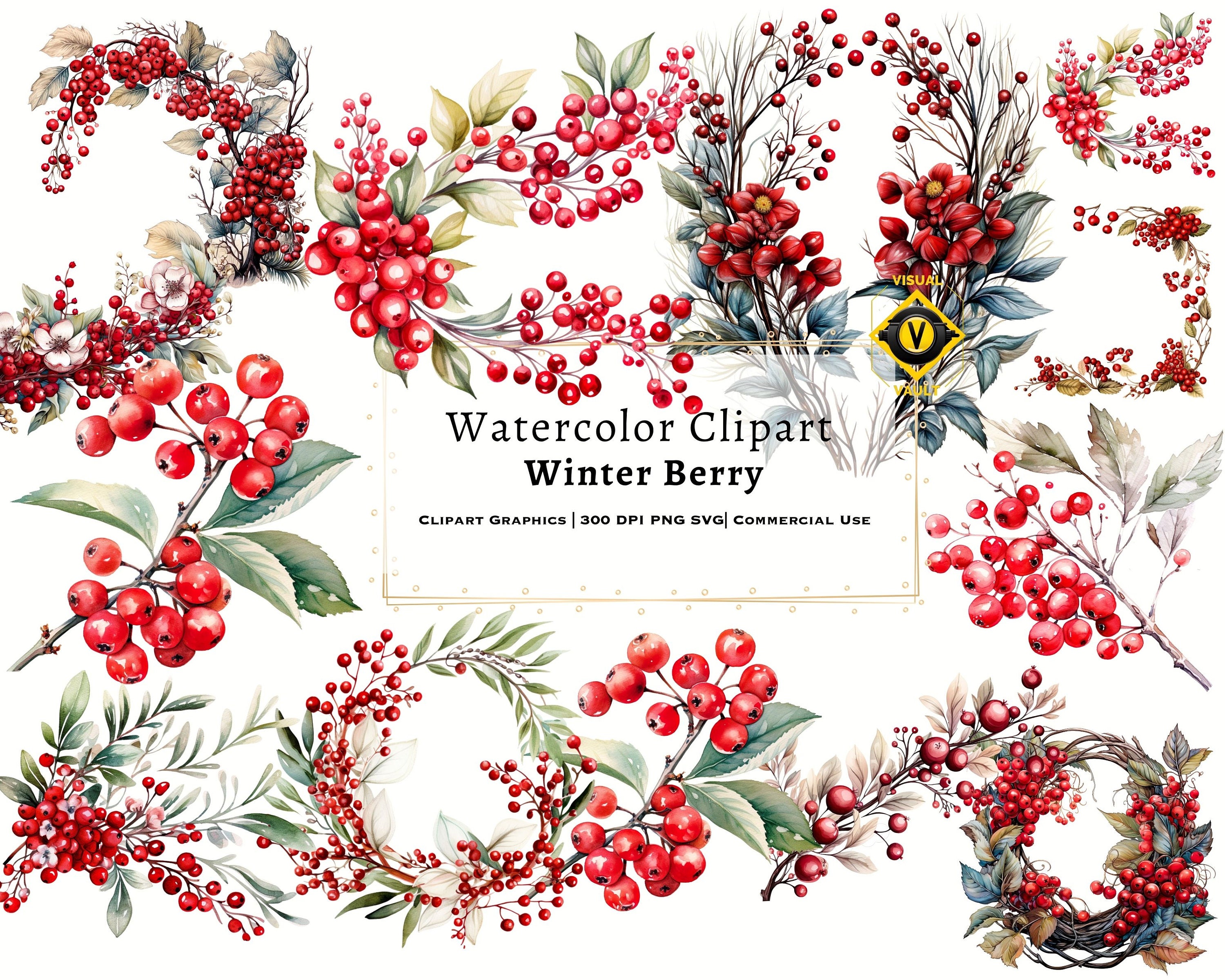 Winter Berries Watercolor Clipart, Christmas Decoration Watercolor ...