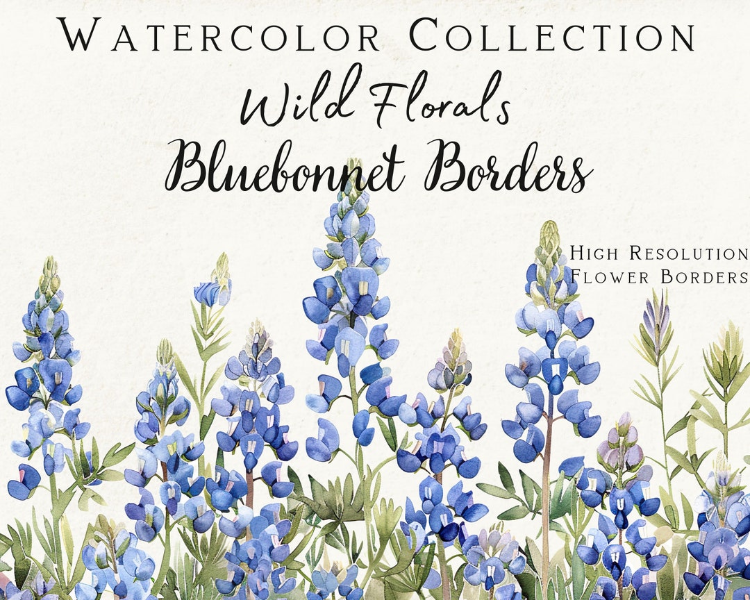 Bluebonnet Watercolor Clipart, Wild Floral Borders & Bouquets ...