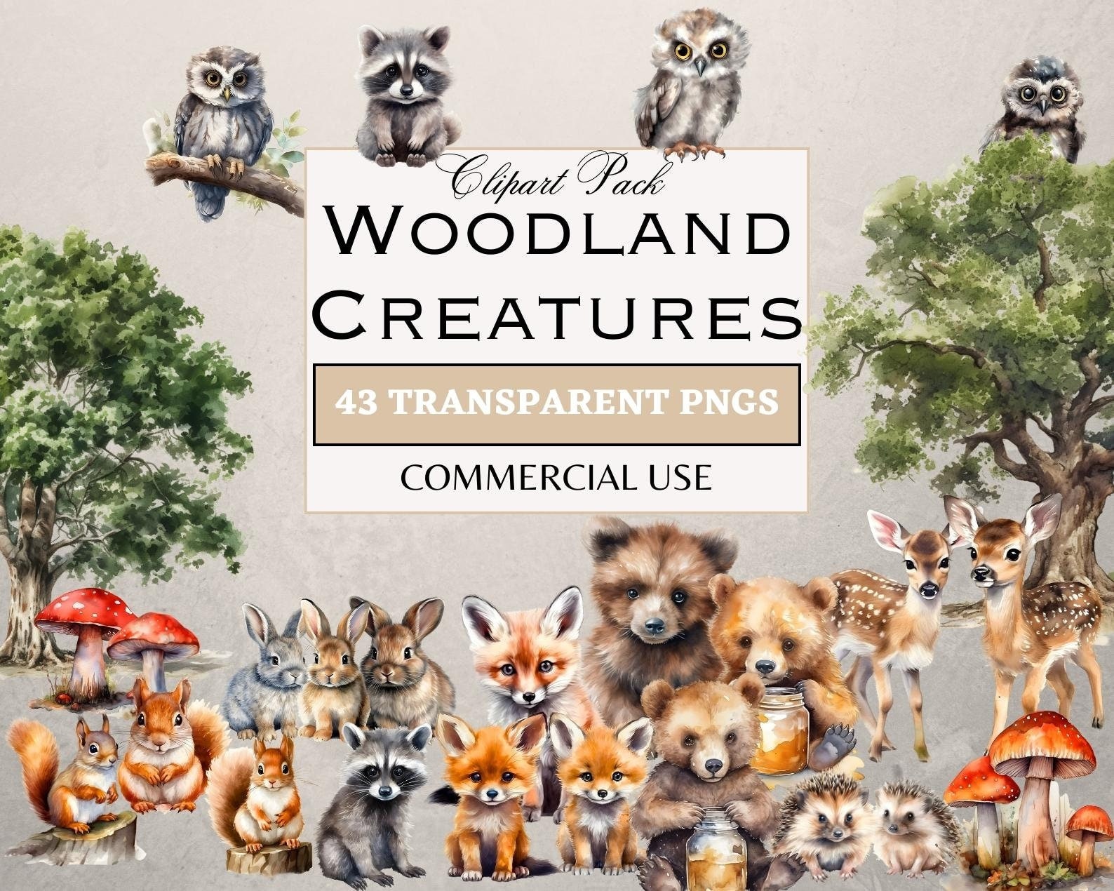 Woodland Animals Clipart Watercolor Clipart for Commercial - Etsy
